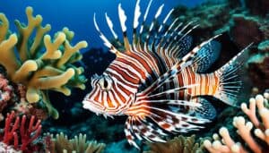 How do lionfish adapt to their environment?